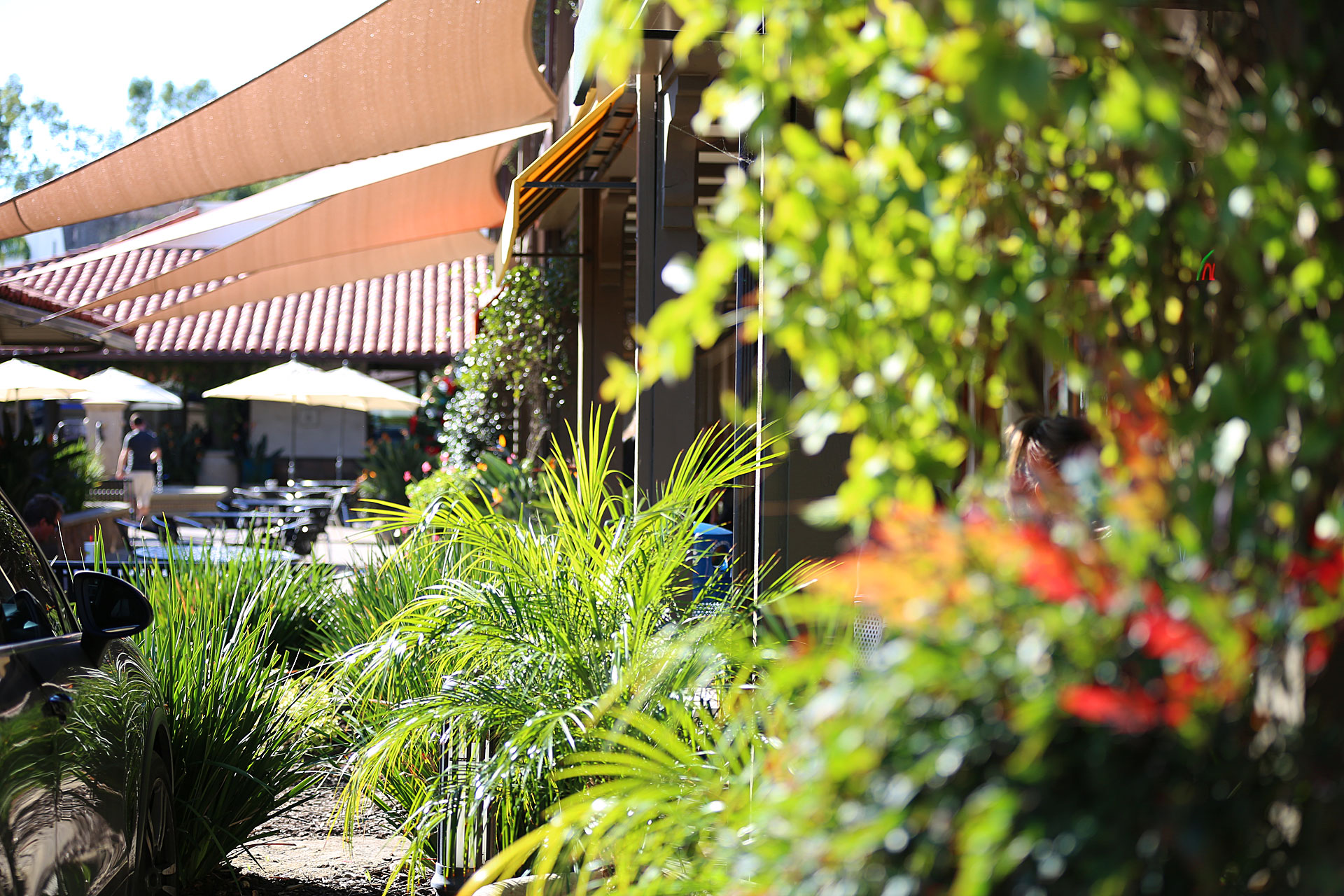 Home | Point Dume Village